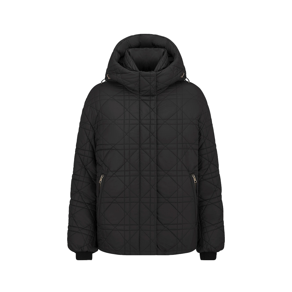 Christian Dior D'Alps Macrocannage Hooded Puffer Jacket Black – voilà.id